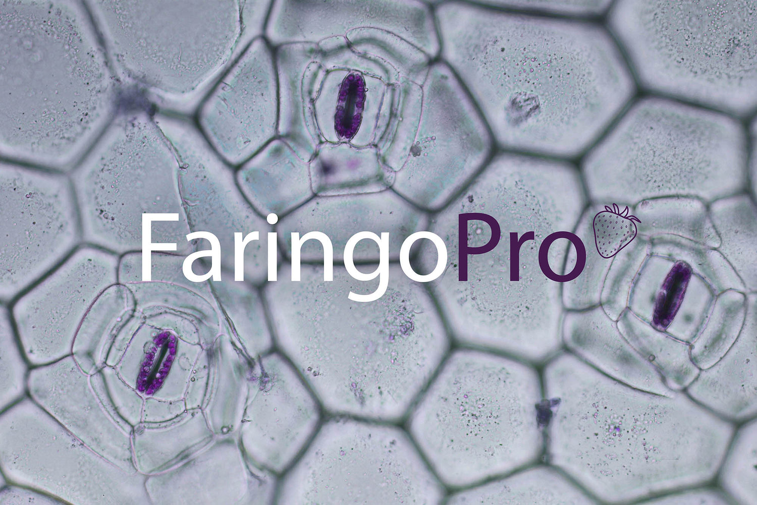 Faringo Pro – AS BIOLAT