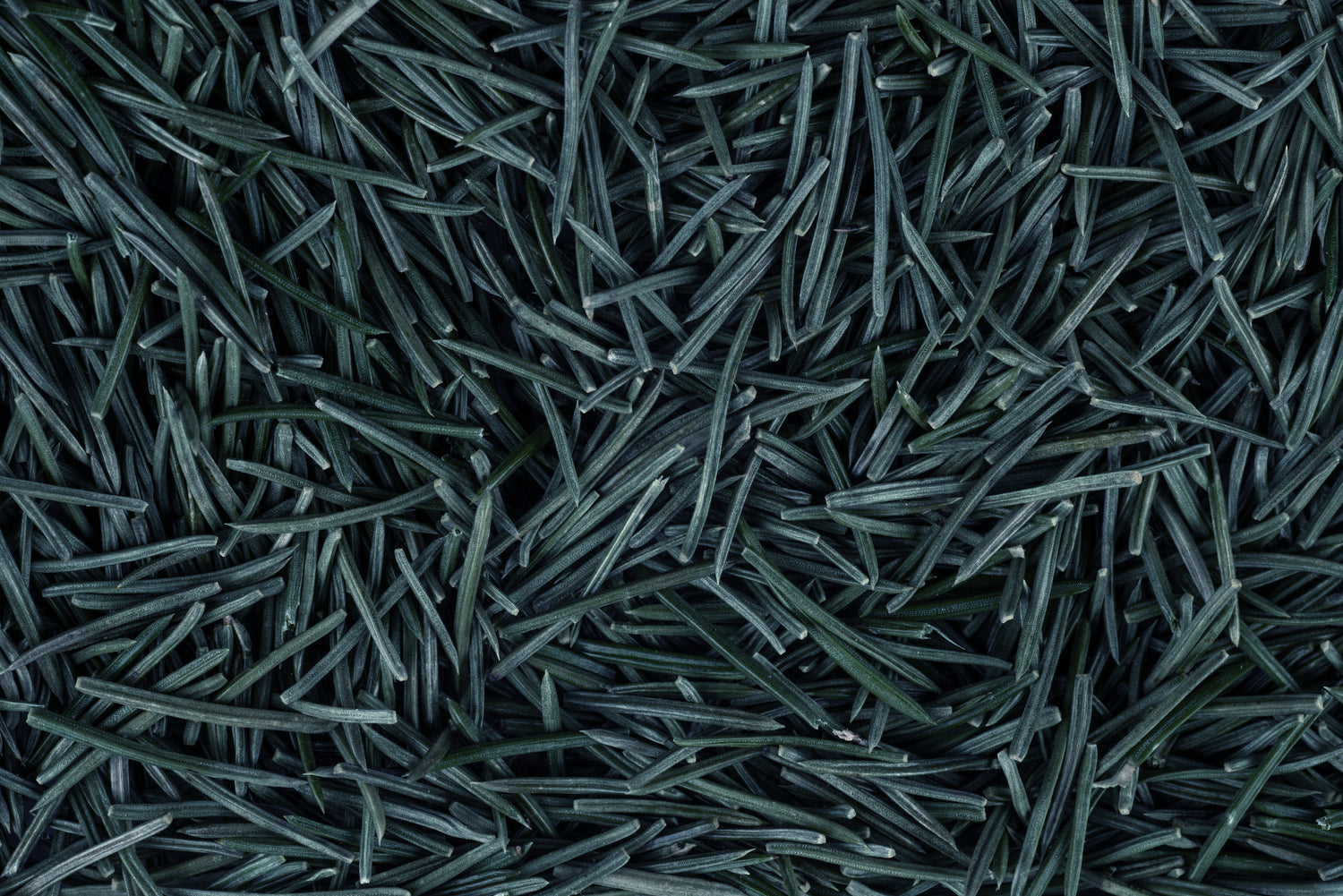 Silvasept Spray – AS BIOLAT