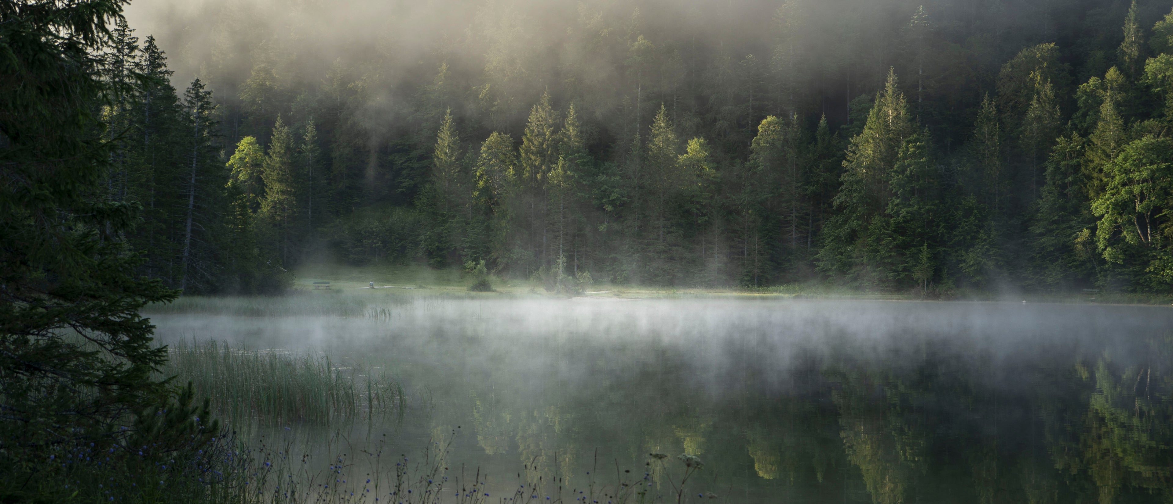 Everlab – AS BIOLAT