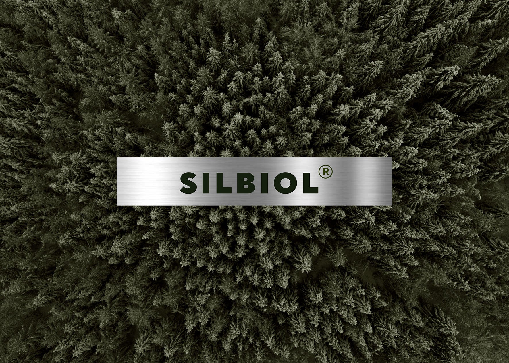 Everlab – AS BIOLAT