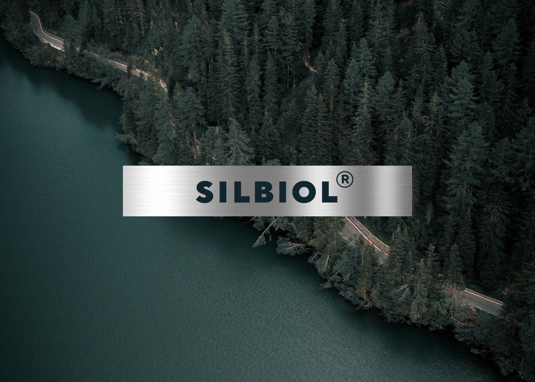 Everlab – AS BIOLAT